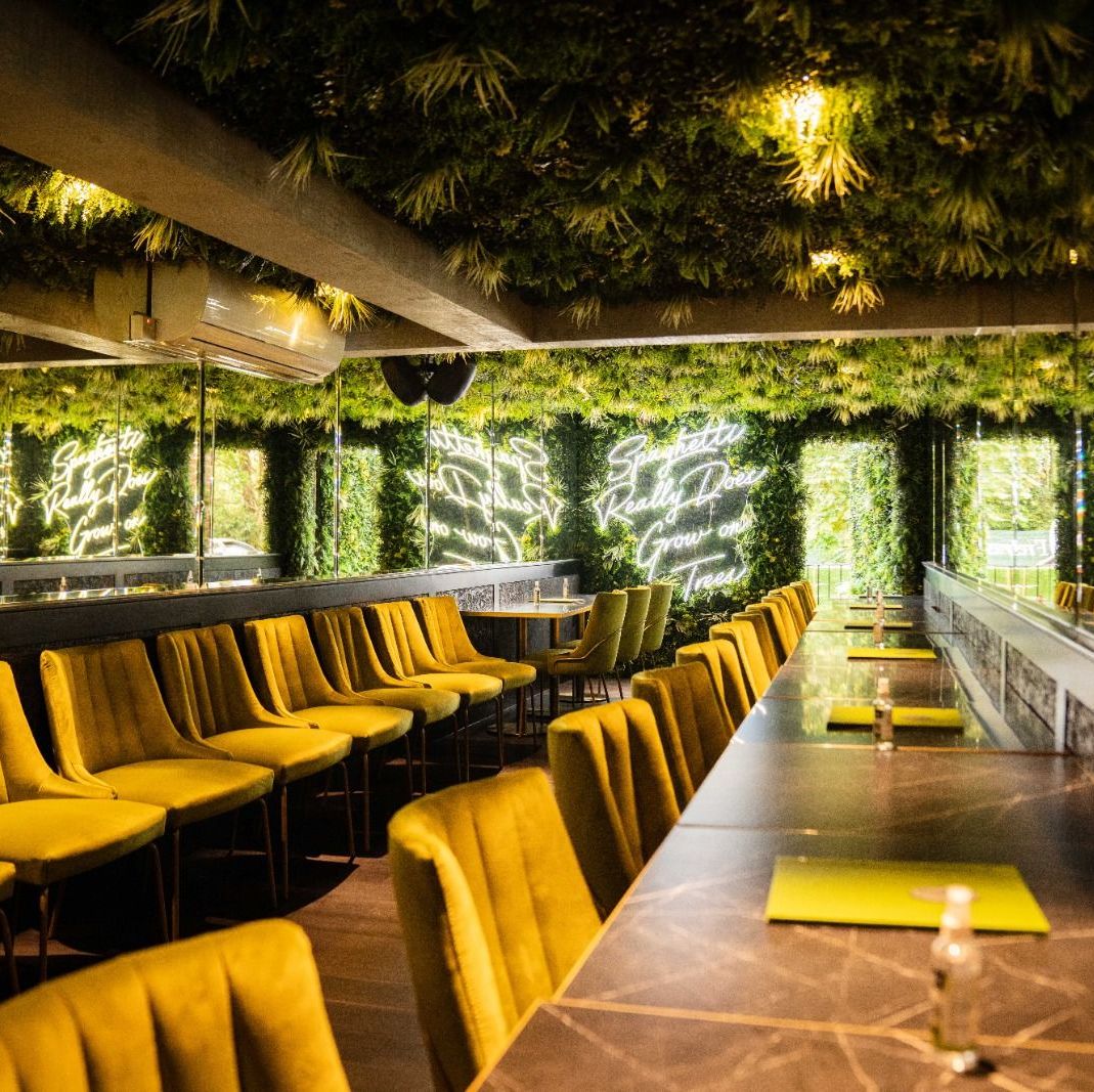 Contact us | Spaghetti Tree